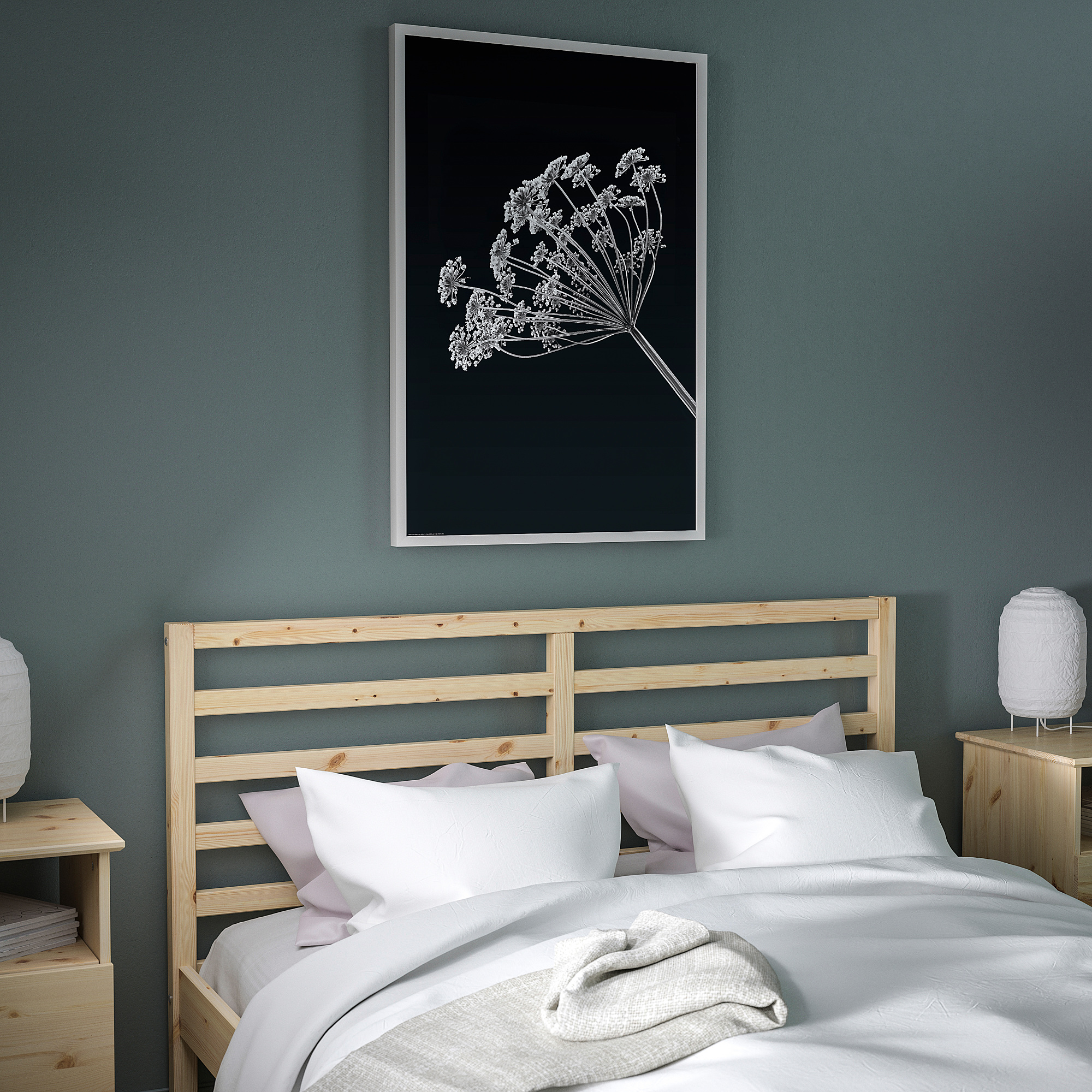 BILD poster Angelica Pubescens 61x91 cm | IKEA Lietuva