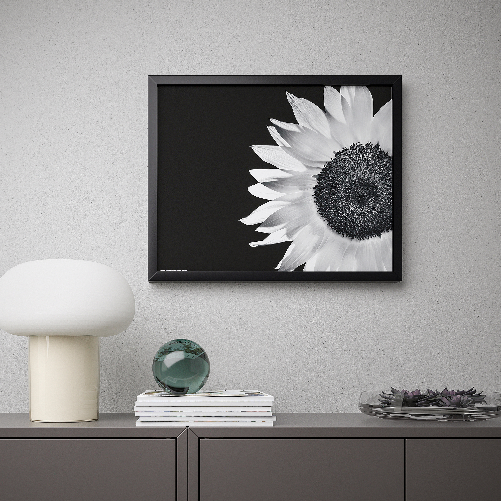 BILD poster Sunflower 40x50 cm | IKEA Latvija