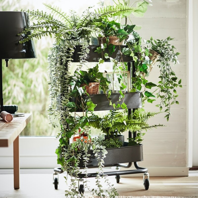 Искусственные растения | IKEA Latvija